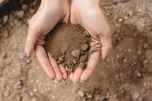Silt Soil Engineering Point of View