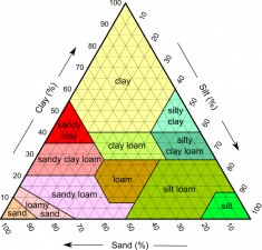 Loam Soil | Properties and Application