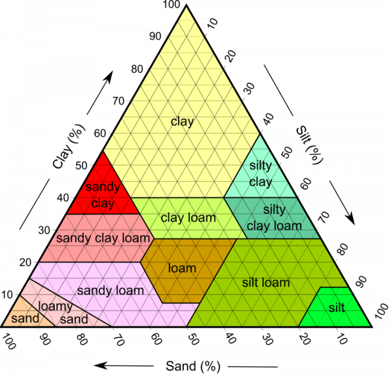 Loam Soil | Properties and Application